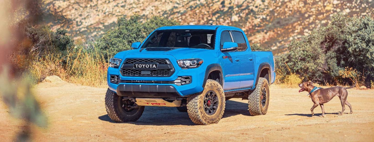 Off-Road Paint Protection: How to Protect Your 4WD From Scratches ...