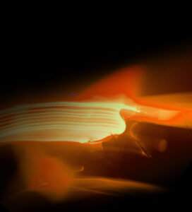 Rayno Phantom S9, S7, S5 Series Window Tint | Rayno Window Film